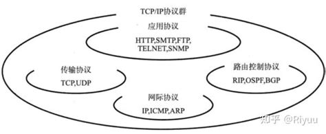 （计算机网络基础）《图解tcp ip》笔记 chapter2 tcp ip基础知识 知乎