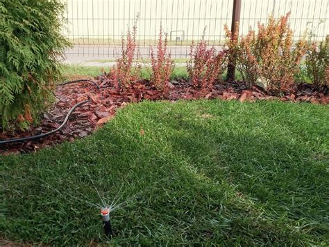 სარწყავი სისტემები საქართველოში აღჭურვილობა ავტომატური მორწყვისთვის