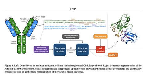 Abodybuilder3 A Scalable And Precise Model For Antibody Structure Prediction Marktechpost