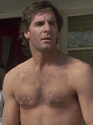 N1 Scott Bakula By Comamor On Deviantart
