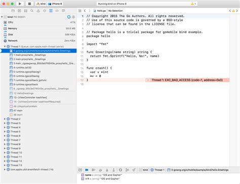 X Mobile Debug Symbol For Gomobile Bind Works If Running On IOS Simulator But Not On Actual