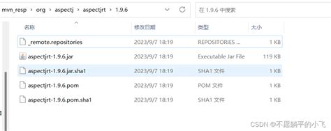 Springcloud整合sentinel报错 Java 读取dideaideaprojectcoderespositoryneworgaspectjaspectjrt1