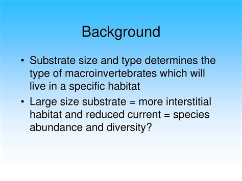 Ppt The Effects Of Substrate Size On Stream Macroinvertebrate Population Size And Structure