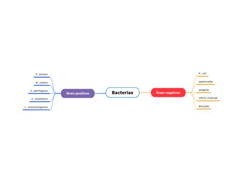 Bacterias Mind Map