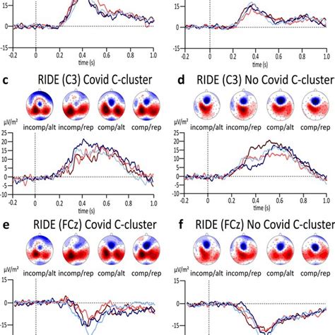 Results Of The Standard Event Related Potential Erp The Plot On The