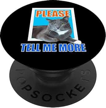 Please Advise Cat Meme A Picnic Basket Full Of Hilarious Cat Memes