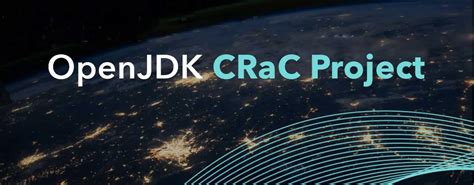 Advanced Openapi Customization Type Mappings And Interface Implementation In Spring Boot By