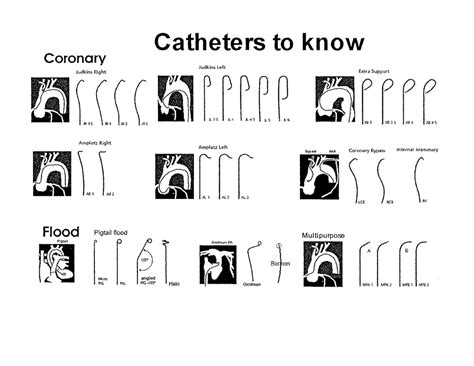 Catheter Curves Diagram Quizlet