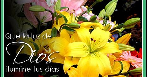 Reflexiones Para Ti Y Para MÍ Que La Luz De Dios Ilumine Tus Días
