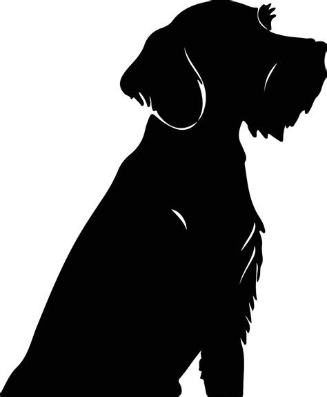 German Wirehaired Pointer Black Silhouette 38487320 Vector Art At Vecteezy