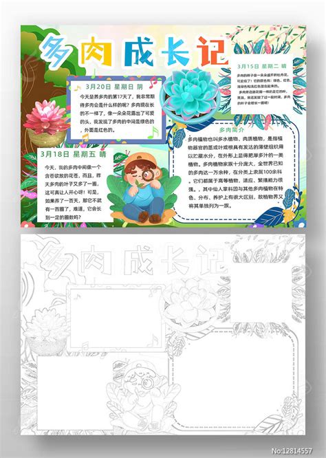 多肉成长记小报下载 红动中国