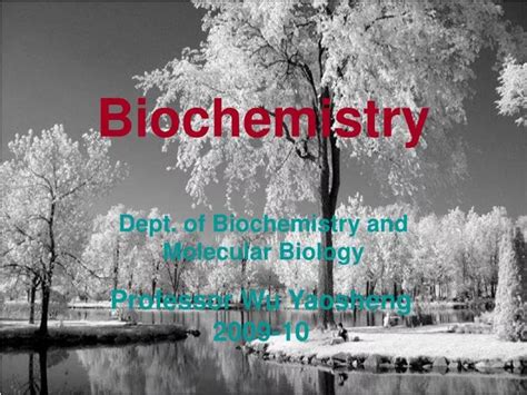 PPT Biochemistry PowerPoint Presentation Free Download ID 5095121