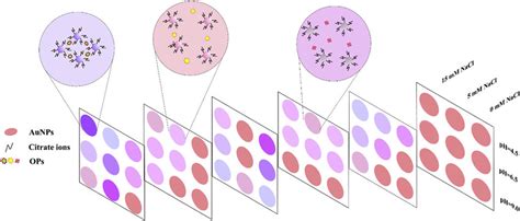 Diagrams Of Colorimetric Sensor Array And Detection Principle Of