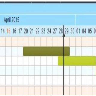 Project Timeline Graph Download Scientific Diagram