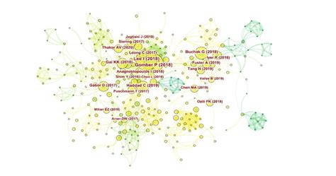 The Co Citation Network Of References Download Scientific Diagram