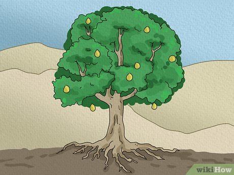 Tree Of Life Meaning Cultural Spiritual Significance