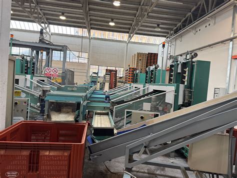 Sammo Precalibrated Line For Kiwi Used Machines Exapro