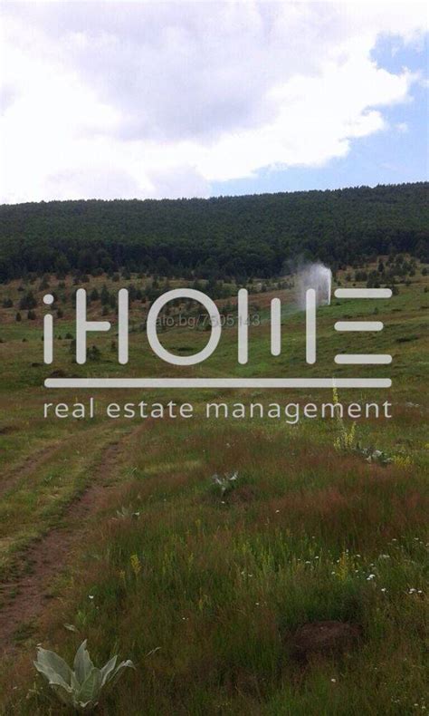 Гинци Парцел в землището на община Годеч Продажба 2400000 кв м Не е в регулация Парцели за зас