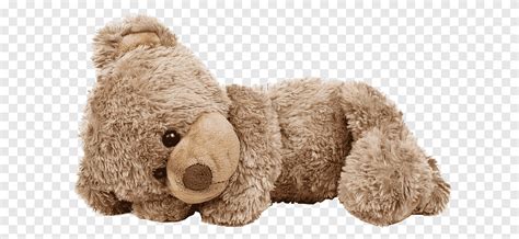 인형 집 갈색 곰 봉제 장난감 Png Pngegg