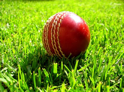 Fichiercricket Ball On Grass — Wikipédia