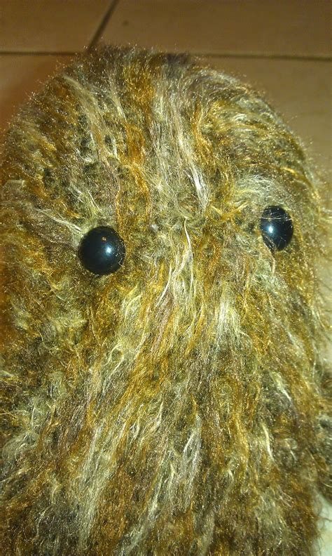 Insert Clever Name Here Chewie