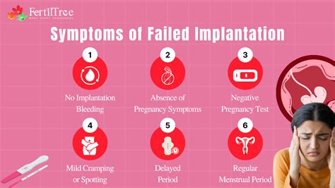 Symptoms Of Failed Implantation Fertile Tree