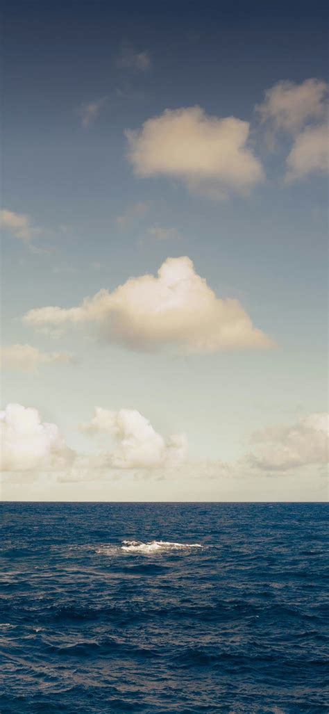 Pin De Carolina B Galvez En Backgrounds Wallppr En 2025 Fotografía