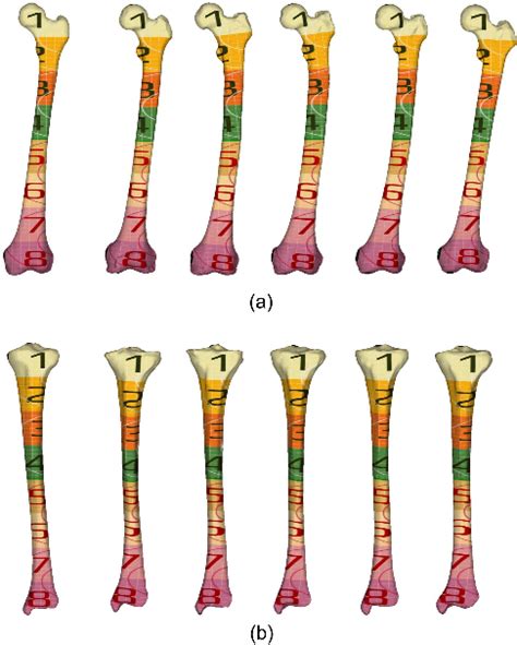Figure 14 From Self Supervised Learning For Non Rigid Registration Between Near Isometric 3d