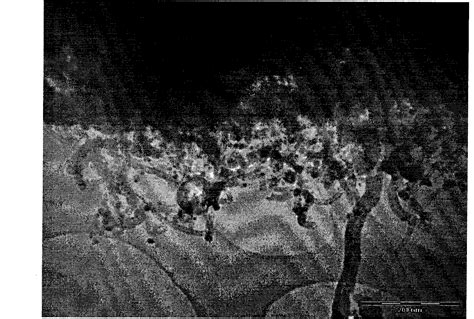 Method For Preparing Lithium Iron Phosphatenanometer Carbon Composite