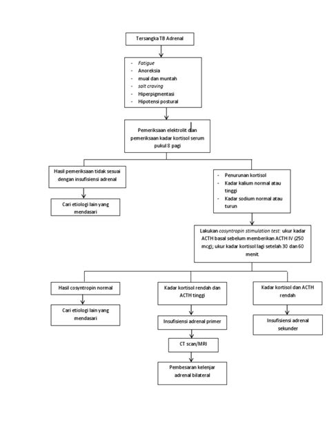 Algoritma Tb Adrenal Pdf