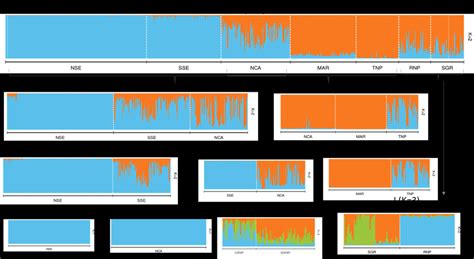 Hierarchical Population Structure Analysis For The African Savanna Download Scientific Diagram