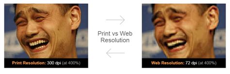 Raster Vs Vector Imaging Software