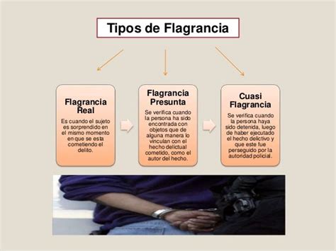Mapa Conceptual Procesal Penal Luis Villanueva