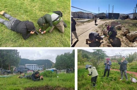 9人36天1万公里，这个夏天我们在青藏高原调查城市植被 华东师范大学