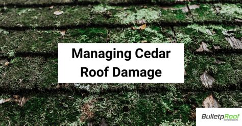 Managing Cedar Roof Damage Efficiently Bulletproof Roof Systems