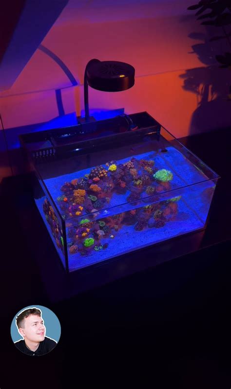 Pico Reef Tank Reef Casa