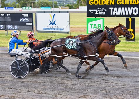 Shadow Pass Gives The Locals A Shot National Trotguide