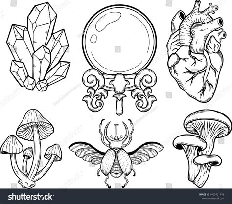 Set Mystical Elements Line Art Vector Stock Vector Royalty Free