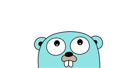 Muhammad Asghar Ali On Linkedin Golang Sync