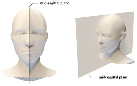 Female Face Reference Front And Side