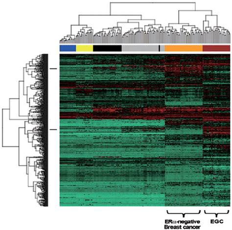 Hierarchical Clustering Genes Up Or Downregulated In Egc As Well As 5 Download Scientific
