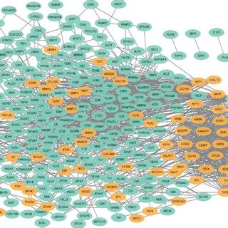 The Common Differentially Expressed Gene DEG Proteinprotein Download Scientific Diagram