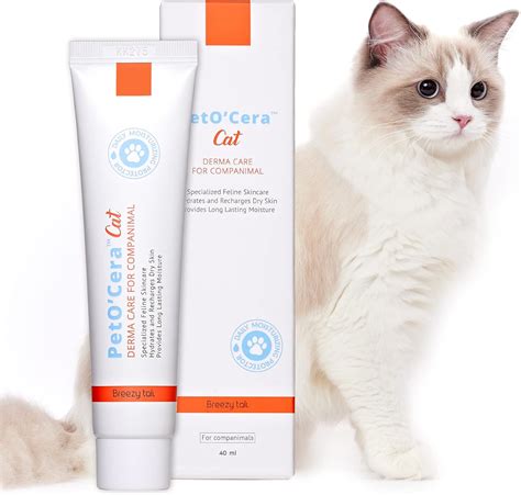 What To Do When A Cat Has Dry Skin At Edward Criss Blog