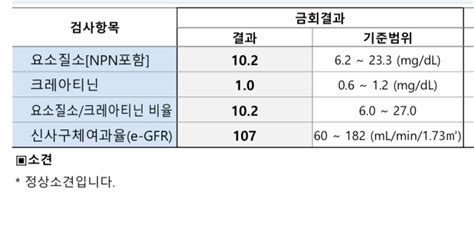소변검사 결과 요단백 수치 괜찮을까요 ㅣ 궁금할 땐 아하