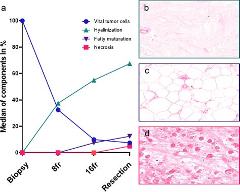 Morphological Evaluation Revealed A Decrease In Vital Tumor Cells Download Scientific Diagram