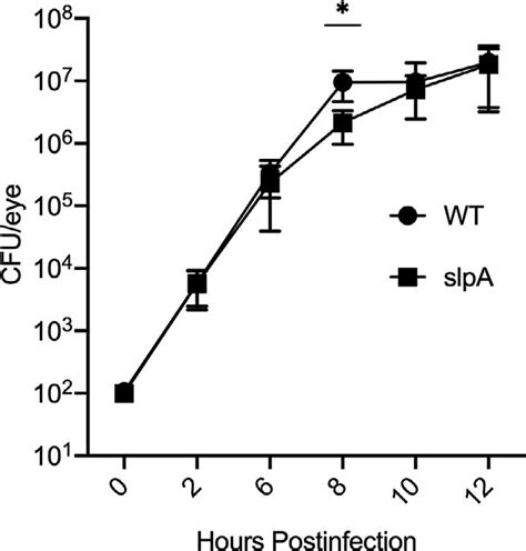 Bacillus Slp Does Not Influence Intraocular Growth In Endophthalmitis Download Scientific