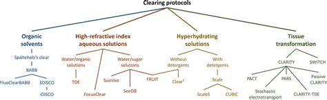 The Classical Taxonomy Of Clearing Methods Download Scientific Diagram