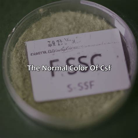 What Color Is Csf Colorscombo Com