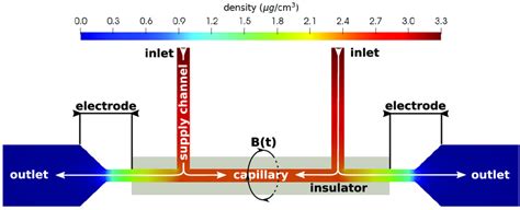 Computational Domain Diagram For The Capillary Discharge Simulation Setup Download Scientific