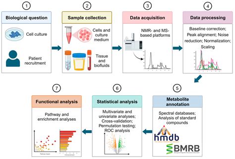 Metabolomic Signatures Of Treatment Response In Bladder Cancer Encyclopedia Mdpi